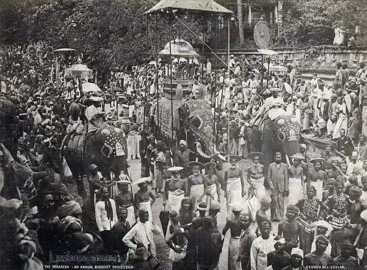 Kandy Perahera Buddhist Procession Photograph – Lankapura