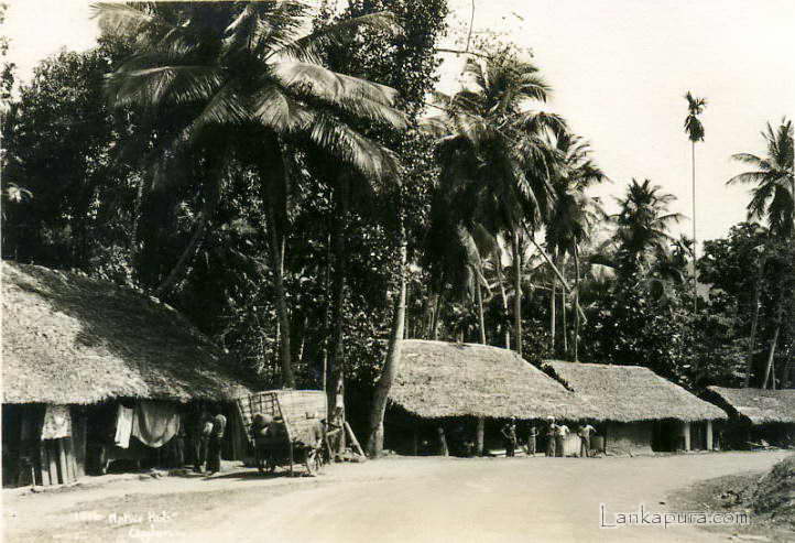 Roadside Native Huts – Lankapura