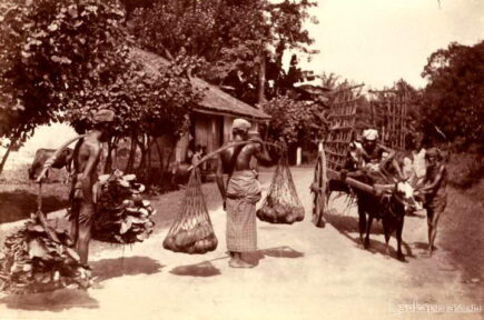Native Street Scene 1870, Ceylon | Lankapura