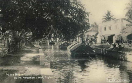 Padda Boats on the Negombo Canal, Ceylon | Lankapura