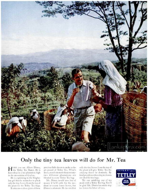 1959 Tetley Advertising Trincomalee Wharf Sri Lanka | Lankapura